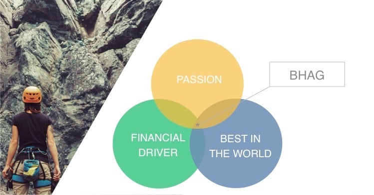 BHAG Examples for Setting your Big Hairy Audacious Goals