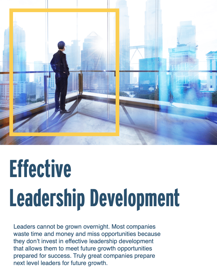 Effective Leadership Development [Infographic]