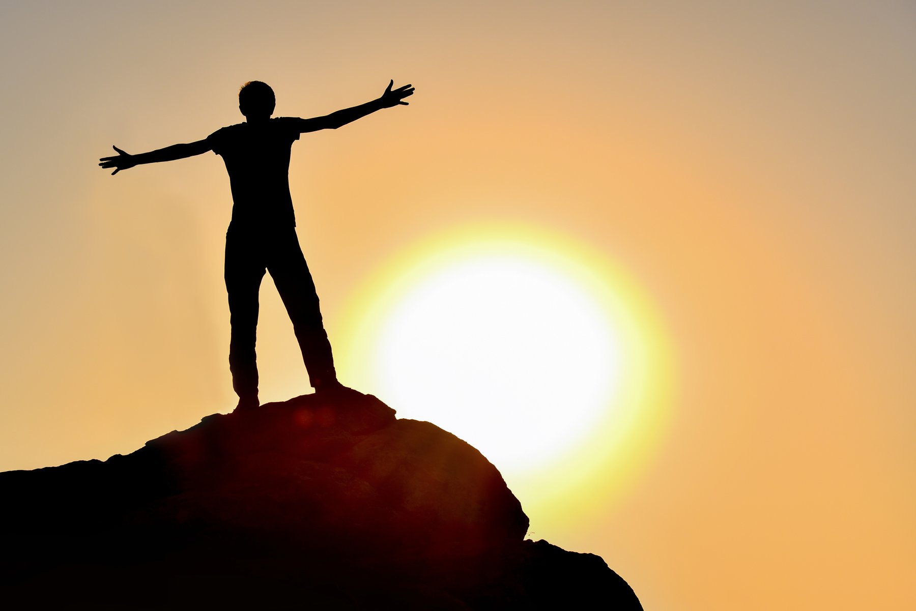 What Does Organizational Peak Performance Look Like?